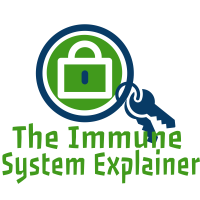 Absolute Lymphocyte Count (ALC): How Important is ALC in Disease ...